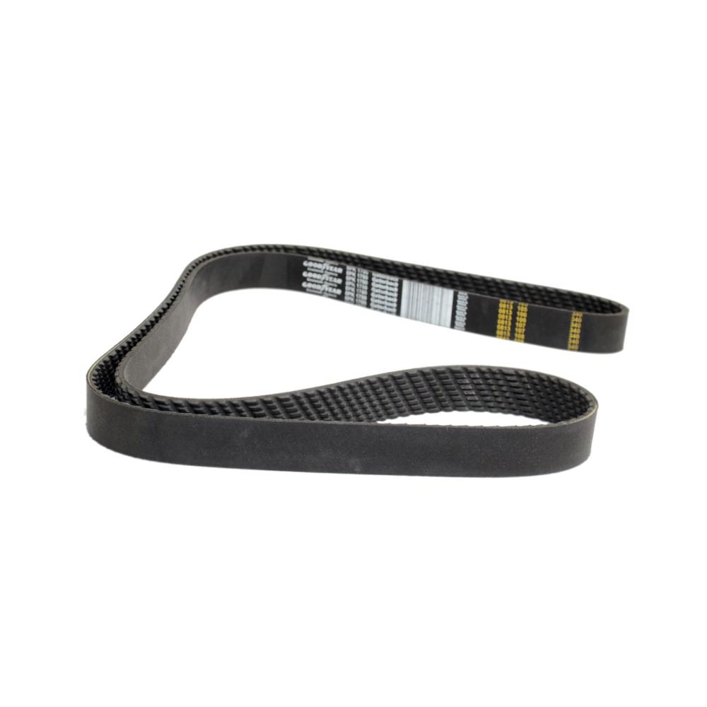 Correa poly v - 8pk-1780